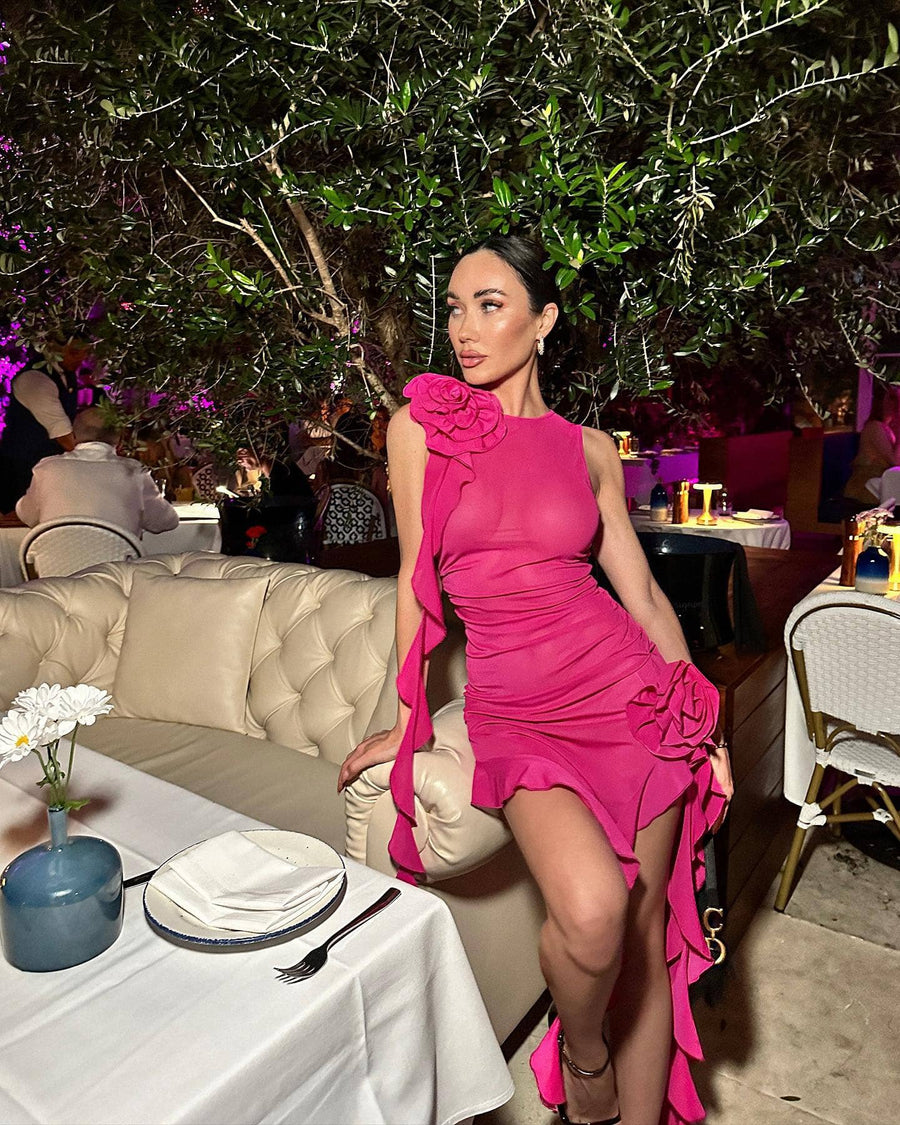 Ruffles Transparent Pink Dress – Marssiana